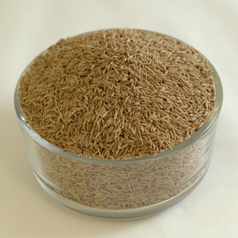 Cumin Seed Whole (170) best wholesale bulk price and pure natural in Canada
